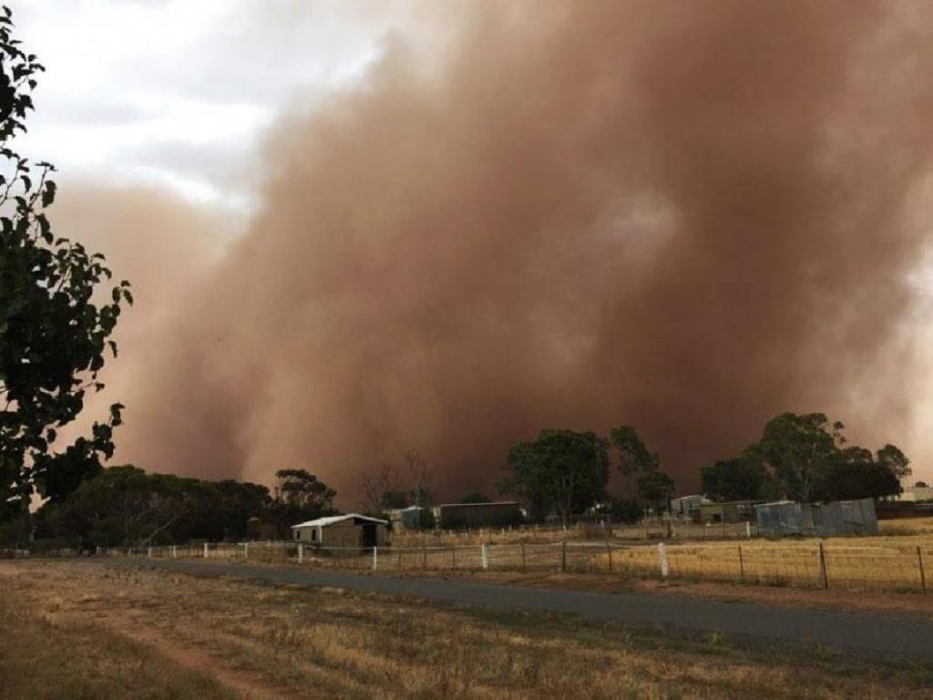 The bill’s arrived / Regenerative Agriculture Day - CERES Fair Food
