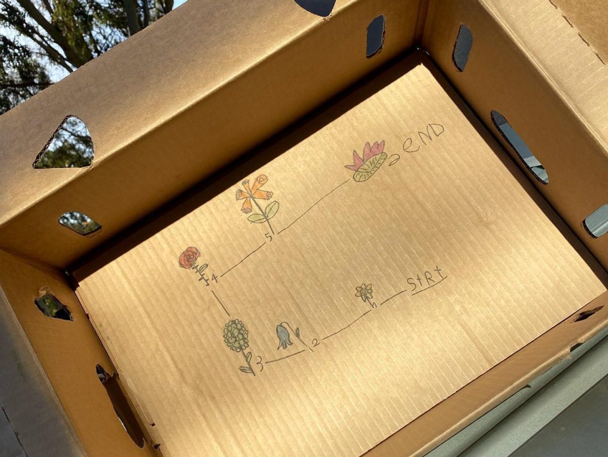 The thing about boxes - CERES Fair Food