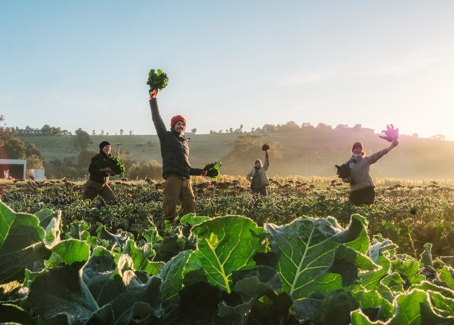 I eat, therefore…. - CERES Fair Food