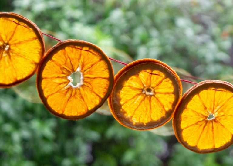 Citrus Garland - CERES Fair Food